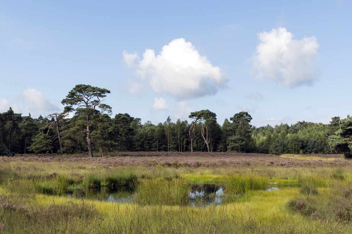 De Dellen en Heerder Sprengen | Geldersch Landschap en Kasteelen