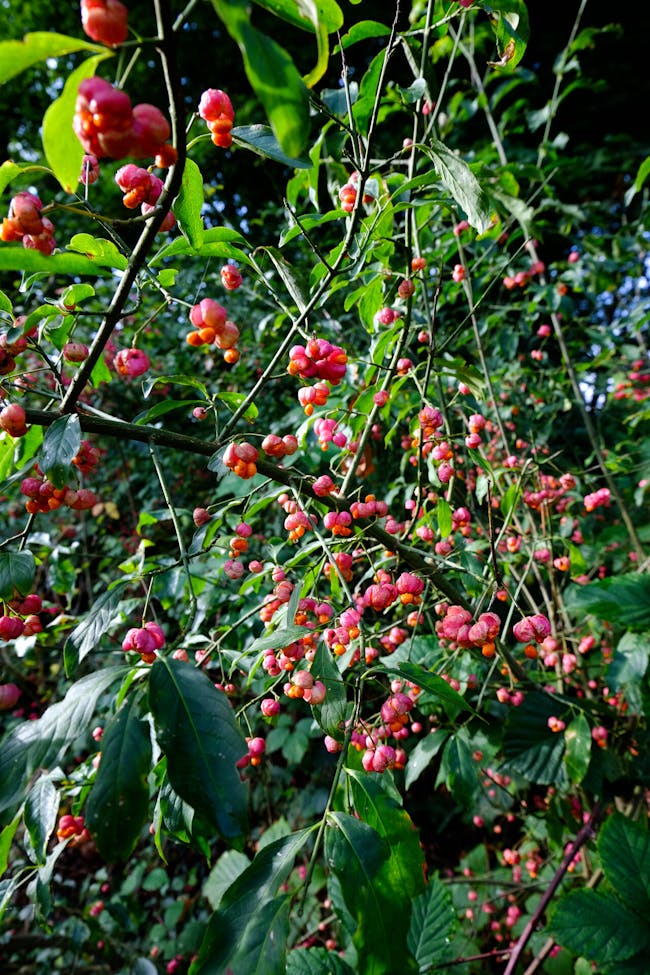 Huis te Eerbeek | Geldersch Landschap en Kasteelen