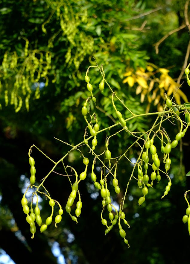 Huis te Eerbeek | Geldersch Landschap en Kasteelen