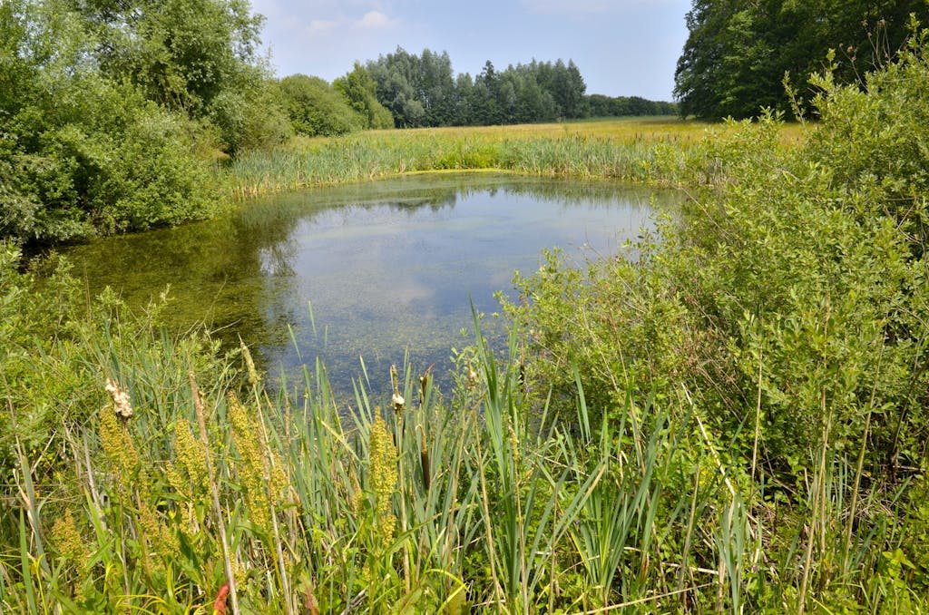 Kraaigraaf en Zwarte Kolk | Geldersch Landschap en Kasteelen