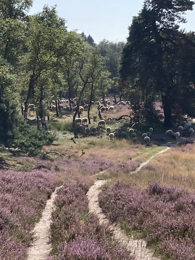 Loenermark | Geldersch Landschap en Kasteelen