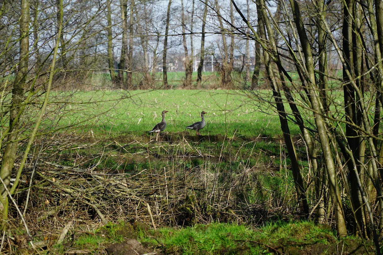 Lunterse Beek | Geldersch Landschap en Kasteelen
