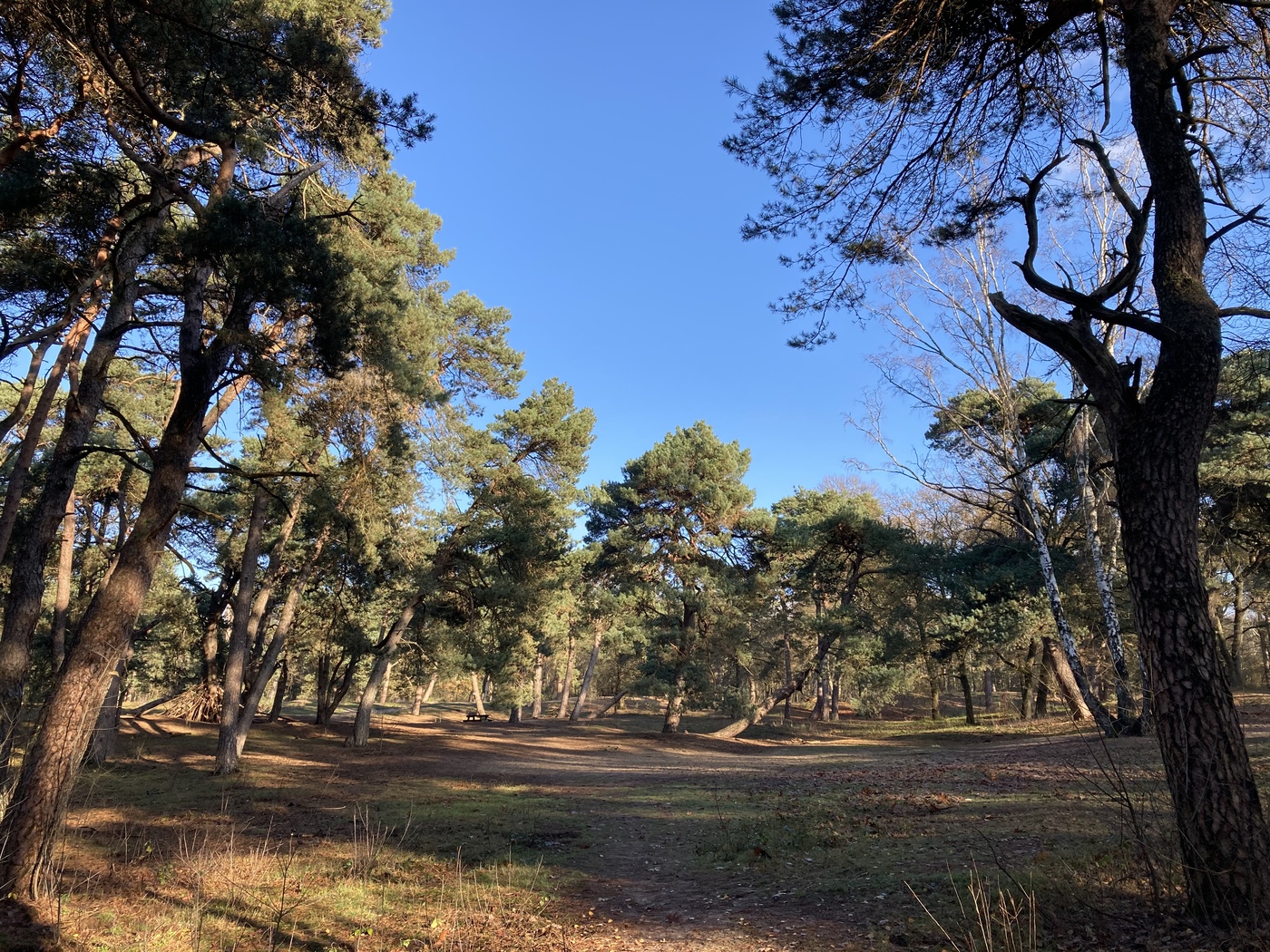 Sysselt | Geldersch Landschap en Kasteelen