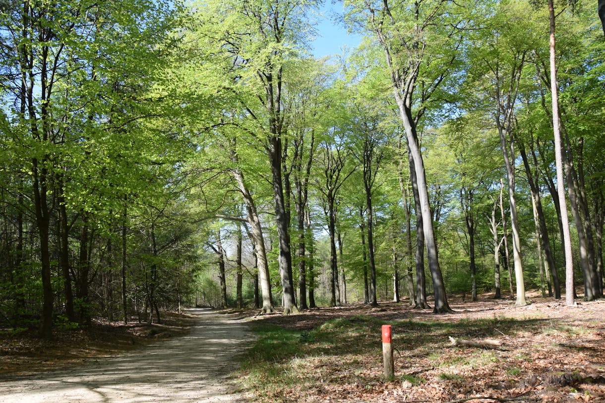 Erop uit | Paardrijden | Geldersch Landschap en Kasteelen