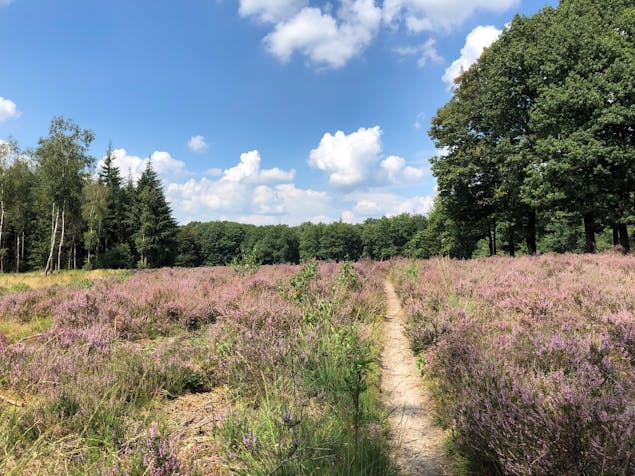 Sysselt | Geldersch Landschap en Kasteelen