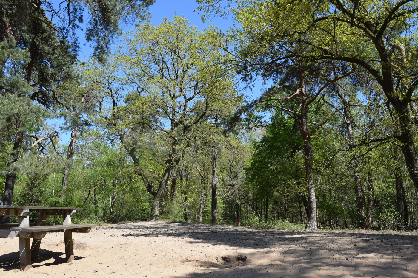 Sysselt | Geldersch Landschap en Kasteelen