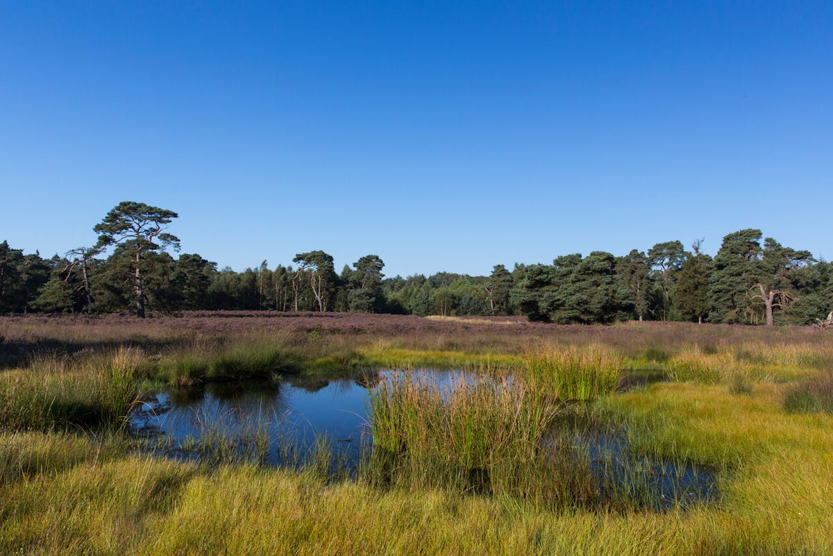 Privé-excursie | Geldersch Landschap en Kasteelen