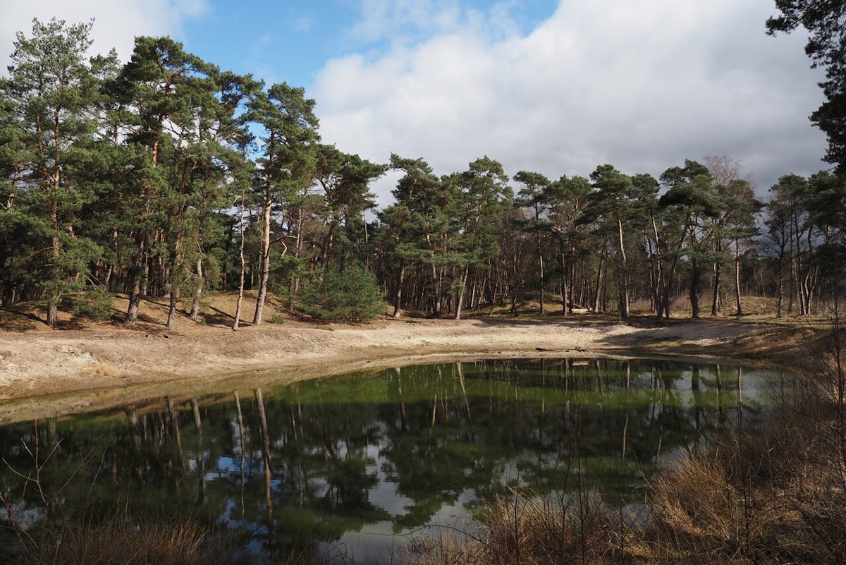 Natuurherstelwet aangenomen | Geldersch Landschap en Kasteelen