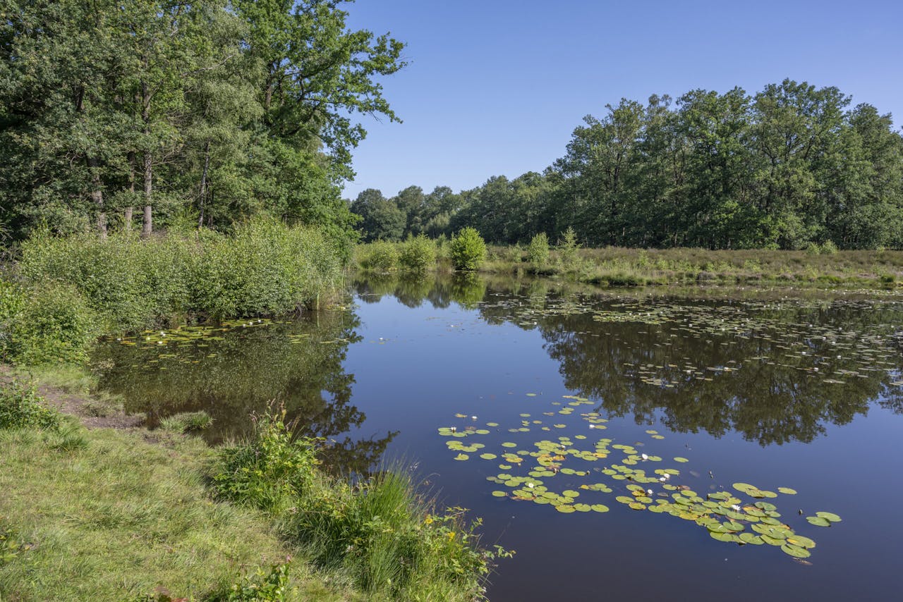 Winterswijk fiets- knooppuntenroute | Geldersch Landschap en Kasteelen
