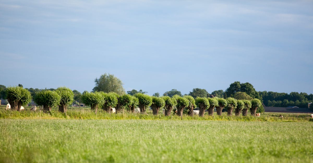 Historische erfbeplanting terug | Geldersch Landschap en Kasteelen