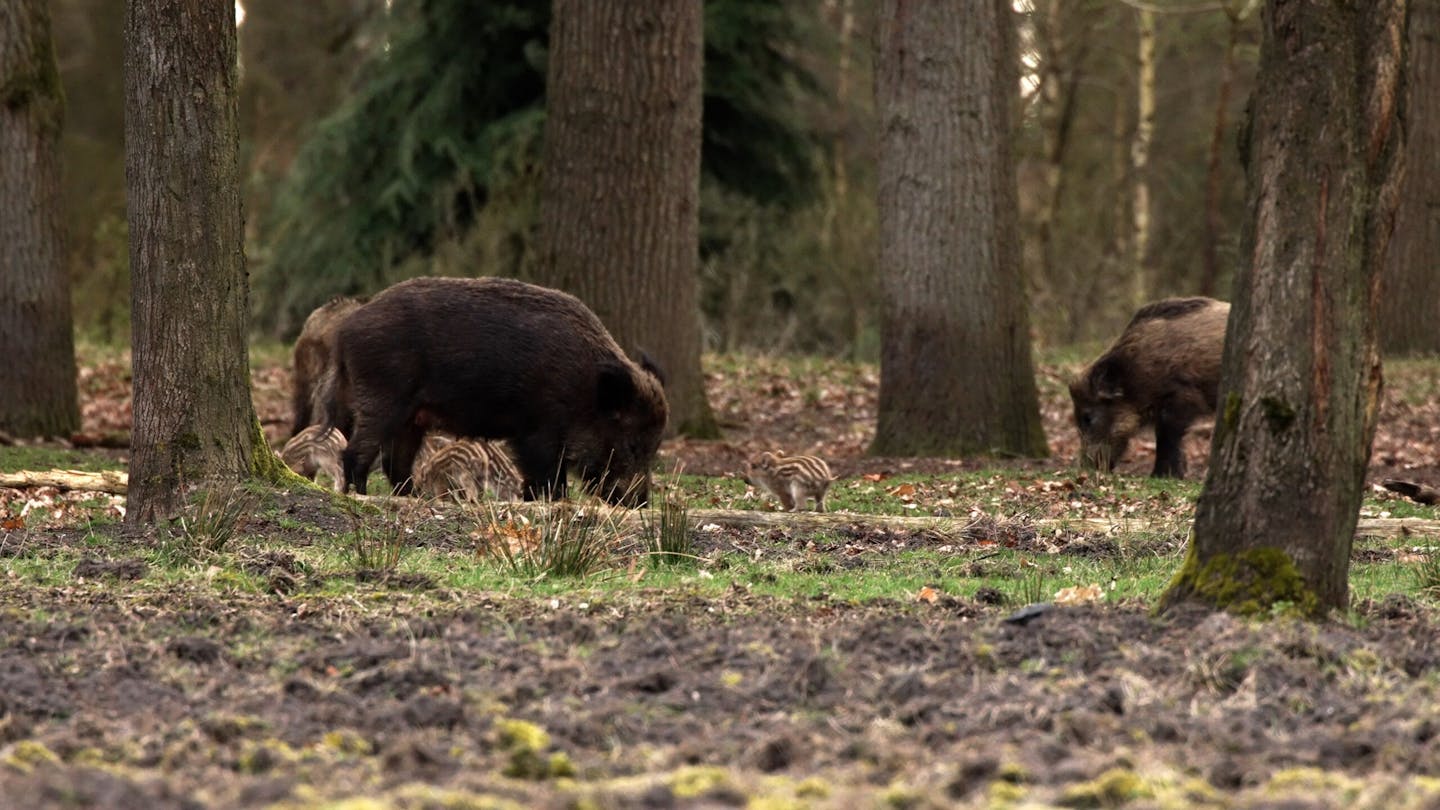 Geldersch Landschap & Kasteelen (GLK) | Een landschap dat we koesteren