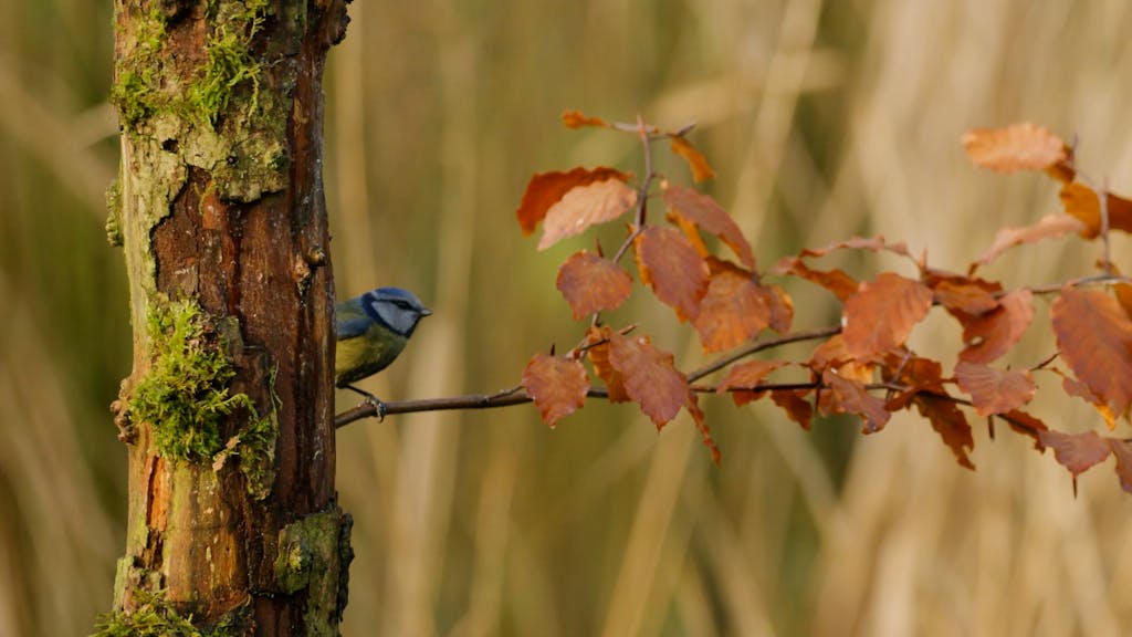 Geldersch Landschap & Kasteelen (GLK) | Een landschap dat we koesteren