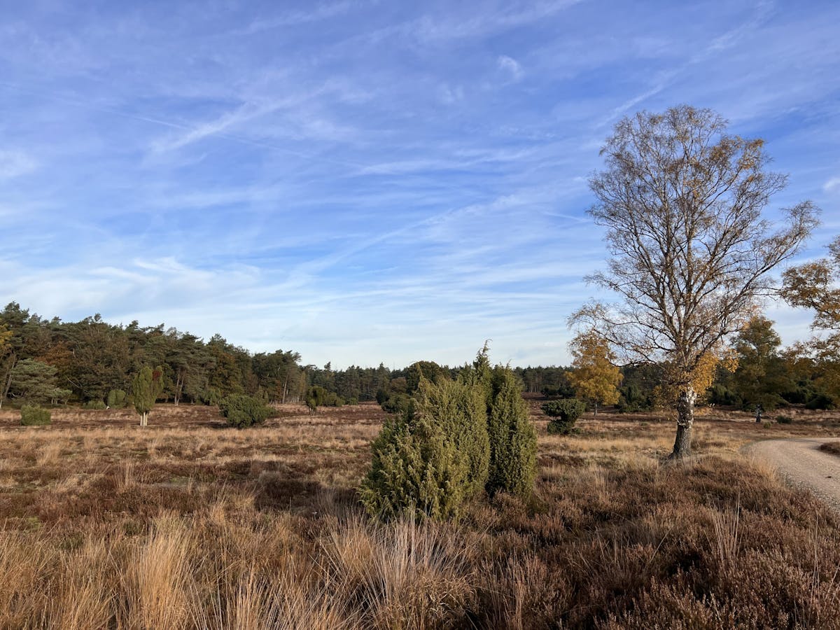 Vacatures raad van toezicht | Geldersch Landschap en Kasteelen