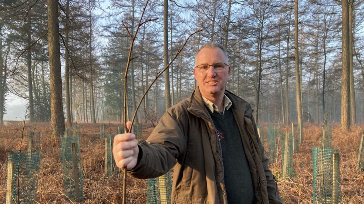 Bosbeheer: over kap en verjonging | Geldersch Landschap en Kasteelen