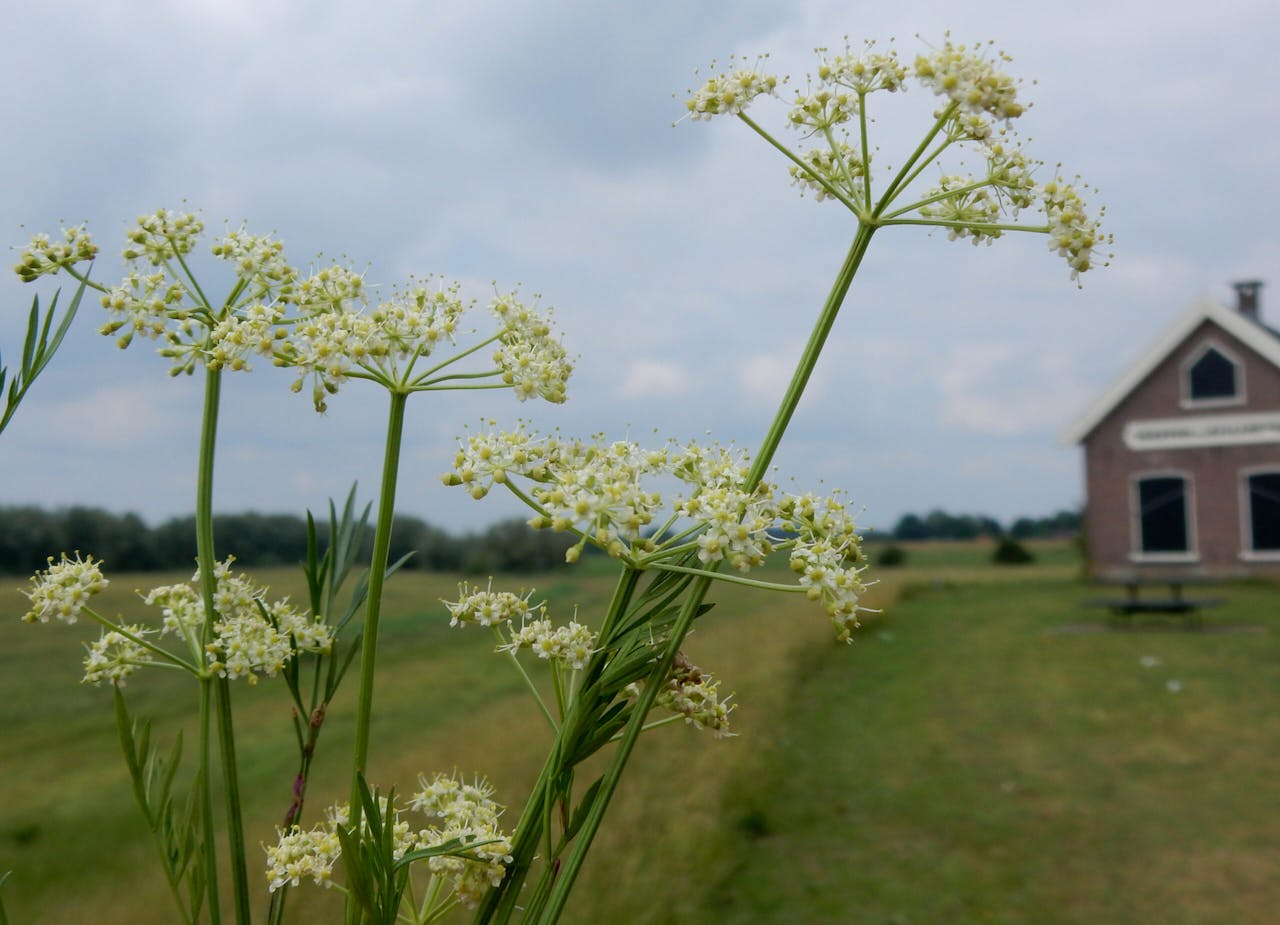 Geldersch Landschap & Kasteelen (GLK) | Een landschap dat we koesteren
