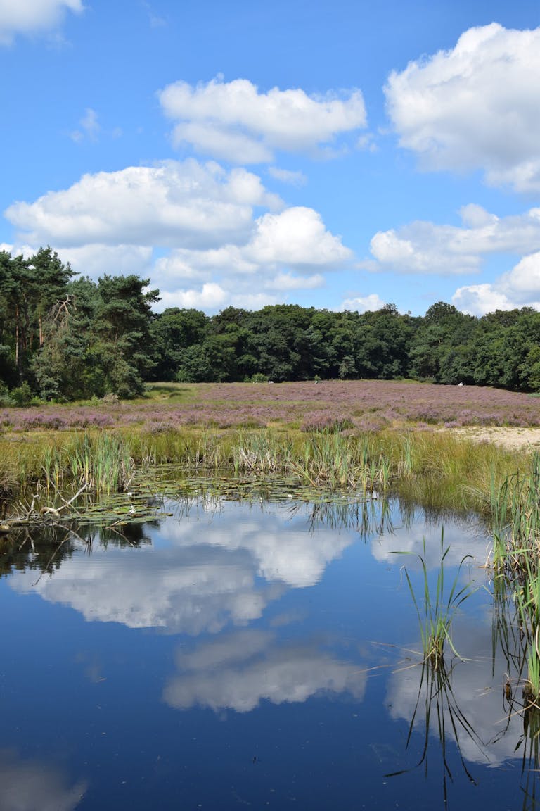 Fietsroute Arnhemse landgoederen | Geldersch Landschap en Kasteelen