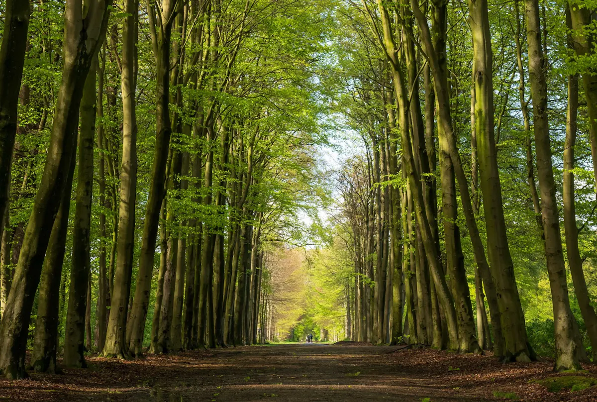 Landgoed Hoevelaken | Geldersch Landschap en Kasteelen