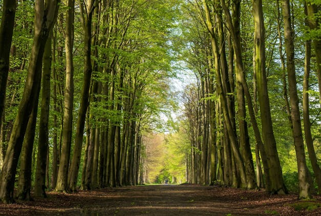 Landgoed Hoevelaken | Geldersch Landschap en Kasteelen