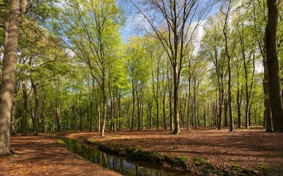 Geldersch Landschap & Kasteelen (GLK) | Een landschap dat we koesteren