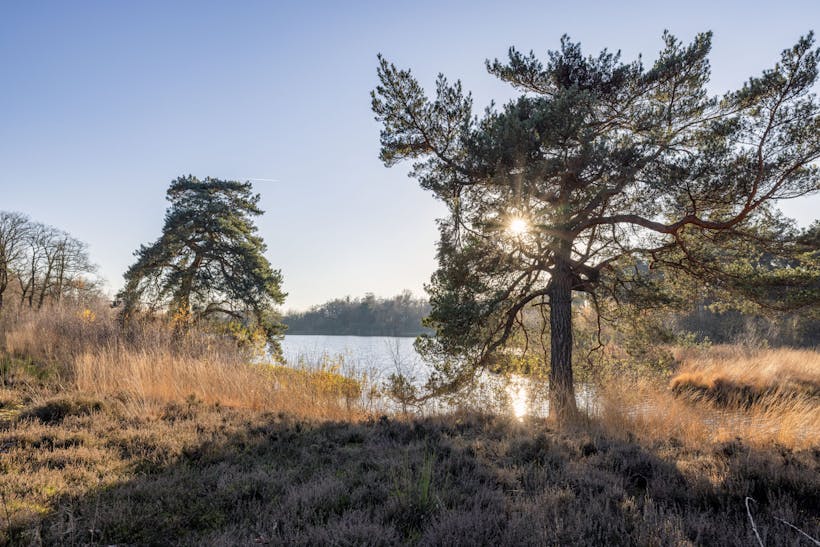Bijzonder huren | Geldersch Landschap en Kasteelen